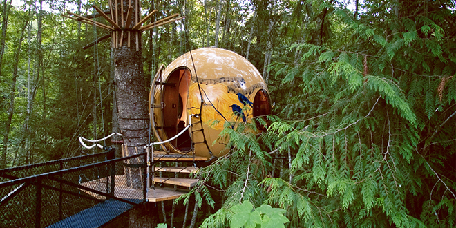 Sweet dreams in a tree hotel - The Traveller's Magazine
