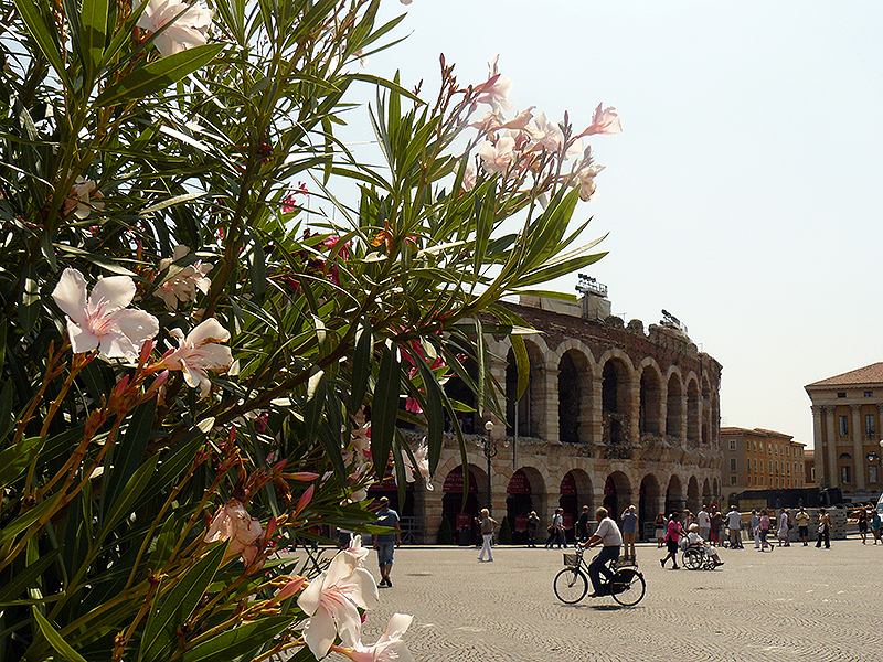 Like a local: Verona - The Traveller's Magazine