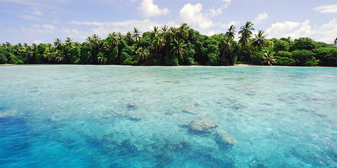 How to: survive on a desert island - The Traveller's Magazine