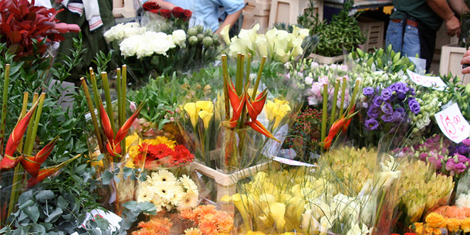Blooming good: Top 7 flower markets - The Traveller's Magazine