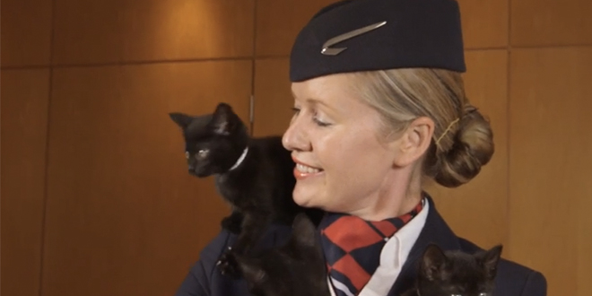 BA to launch new channel of cute animal videos - The Traveller's Magazine