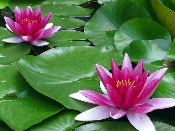 10 things to see and do in Naples - The Traveller's Magazine