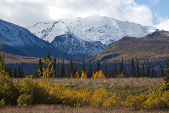 Oh Canada: discovering the Yukon - The Traveller's Magazine
